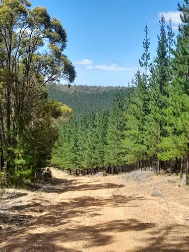 Best Hikes and Trails in Kelly Plantation | AllTrails