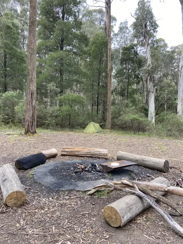 Best Forest Trails in Mount Samaria State Park | AllTrails