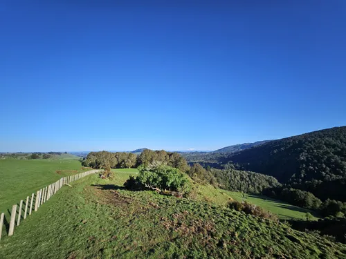 10 Best Hikes and Trails in Ruahine Forest Park | AllTrails