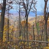 The Pinnacle and Flat Top Mountain, Virginia - 537 Reviews, Map | AllTrails