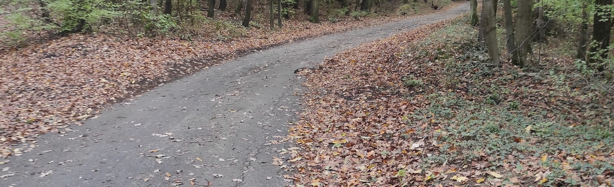 Carpathian Bee Trail: 10 foto's - Bratislava, Slowakije | Wandelen ...