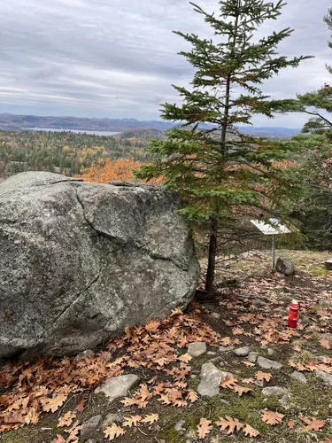 Best Views Trails in Duhamel | AllTrails