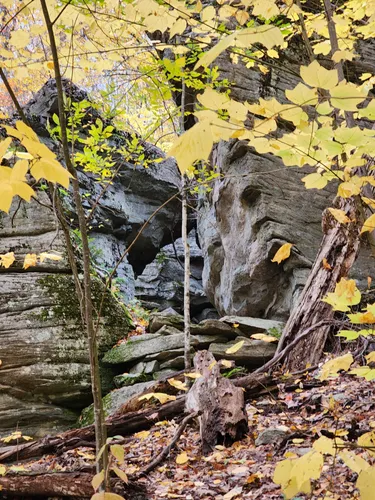 Best Hikes and Trails in Erving State Forest | AllTrails