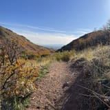 Red Butte Canyon Overlook, Utah - 496 Reviews, Map | AllTrails