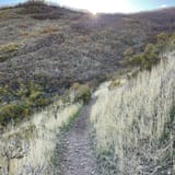 Red Butte Canyon Overlook, Utah - 496 Reviews, Map | AllTrails