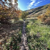 Red Butte Canyon Overlook, Utah - 496 Reviews, Map | AllTrails