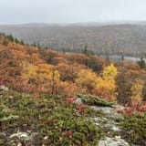 Escarpment Trail, Michigan - 986 Reviews, Map | AllTrails