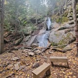 Syphon Falls Trail, British Columbia, Canada - 204 Reviews, Map | AllTrails