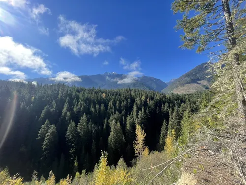 Best Forest Trails in Begbie Falls Recreation Site | AllTrails