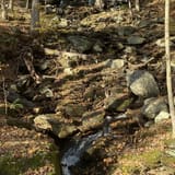Cascade Falls Loop Trail, Massachusetts - 819 Reviews, Map | AllTrails