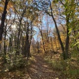 Cascade Falls Loop Trail, Massachusetts - 819 Reviews, Map | AllTrails