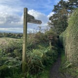 The Morris Dancer Kelsall Trail, Cheshire, England - 162 Reviews, Map ...