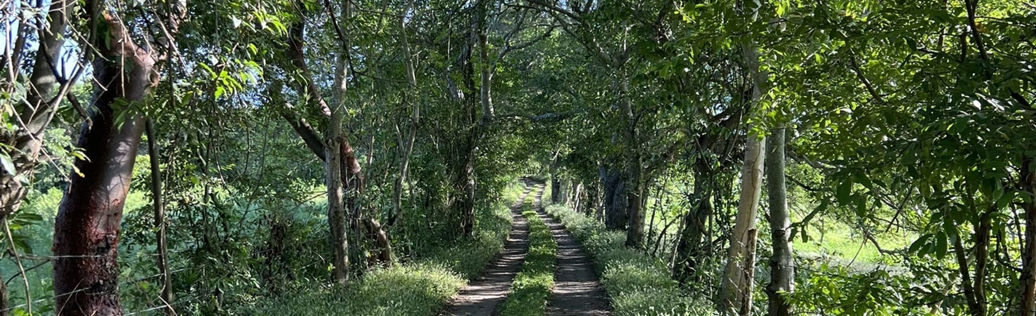 Real de Minas - Los Colomos, Colima, Mexico - Map, Guide | AllTrails