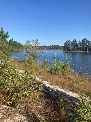 2023 Best Wild Flowers Trails in Holly Ridge | AllTrails