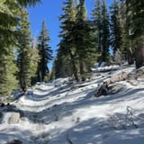 Lake Aloha Trail, California - 1,805 Reviews, Map | AllTrails