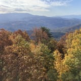 Look Rock Tower Trail, Tennessee - 660 Reviews, Map | AllTrails