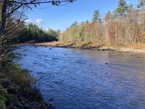 Best Hikes and Trails in Albany Town Forest | AllTrails