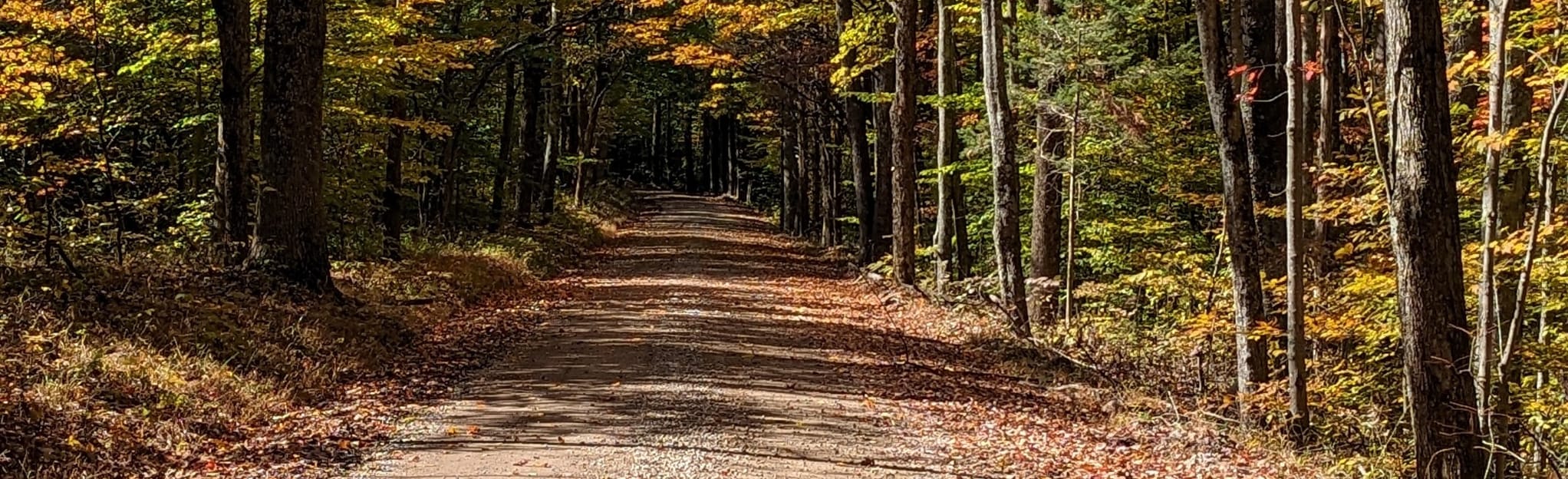 Nebo Ridge Trail, Indiana - 141 Reviews, Map | AllTrails