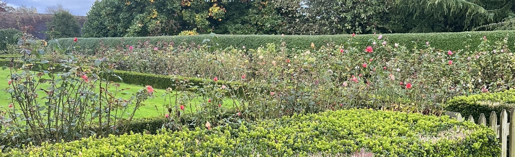 Pluckley and Little Chart Circular, Kent, England - 229 Reviews, Map ...