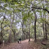 Ray Harral Nature Park, Oklahoma - 623 Reviews, Map | AllTrails