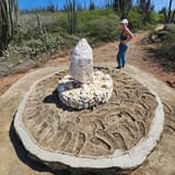 Jamanota South Trail, Aruba, Aruba - 23 Reviews, Map | AllTrails