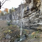 Indian Ladder Trail, New York - 799 Reviews, Map | AllTrails