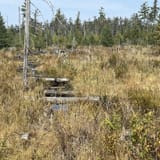 Cat Mountain Trail, New York - 233 Reviews, Map | AllTrails