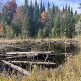 Cat Mountain Trail, New York - 233 Reviews, Map | AllTrails