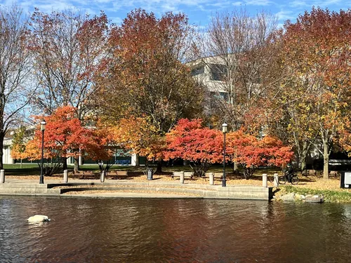 Best Hikes and Trails in Frame Park | AllTrails