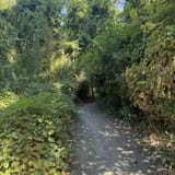 The Meadows Slough Trail, California - 449 Reviews, Map | AllTrails