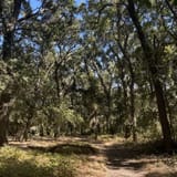 The Meadows Slough Trail, California - 449 Reviews, Map | AllTrails