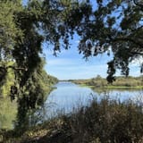 The Meadows Slough Trail, California - 449 Reviews, Map | AllTrails