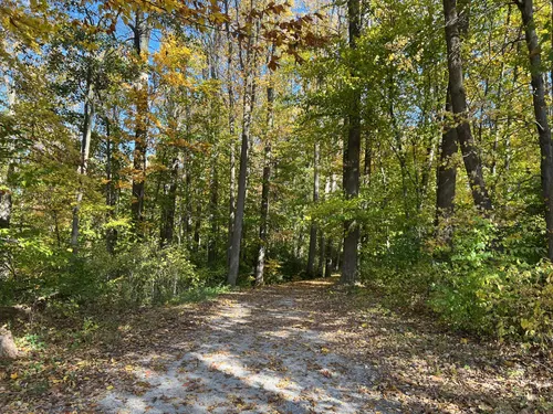 Best Hikes and Trails in Okehocking Preserve | AllTrails
