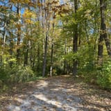 Okehocking Preserve Loop, Pennsylvania - 1,044 Reviews, Map | AllTrails
