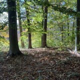 Okehocking Preserve Loop, Pennsylvania - 1,111 Reviews, Map | AllTrails