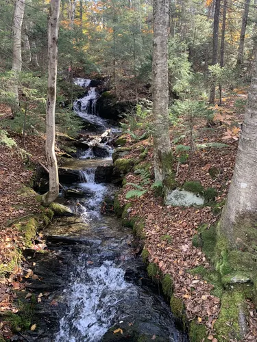 10 Best Waterfall Trails in Mount Greylock State Reservation | AllTrails