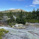 Mount Cardigan Loop Trail, New Hampshire - 1,907 Reviews, Map | AllTrails