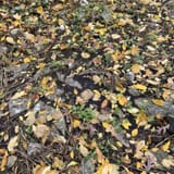 Oakfield Ledge, Wisconsin - 89 Reviews, Map | AllTrails