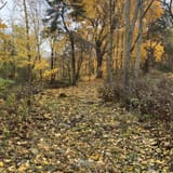 Oakfield Ledge, Wisconsin - 89 Reviews, Map | AllTrails