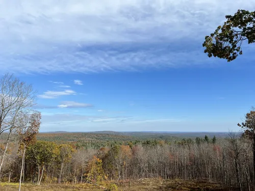 Best Hikes and Trails in Susan B. Minns Sanctuary | AllTrails