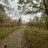 Peebles Island Perimeter Trail, New York - 2,061 Reviews, Map | AllTrails