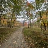 Peebles Island Perimeter Trail, New York - 2,061 Reviews, Map | AllTrails