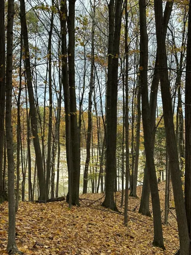 Best Hikes and Trails in Torch River Ridge | AllTrails