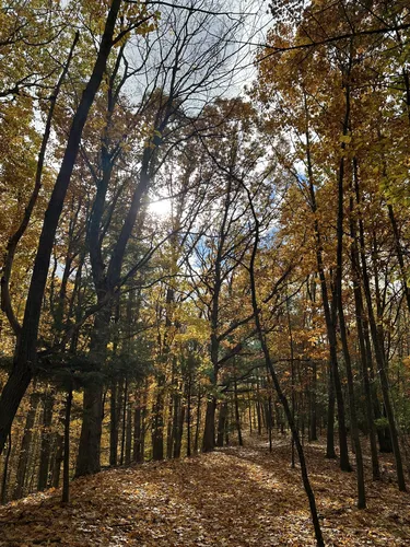 Best Hikes and Trails in Torch River Ridge | AllTrails