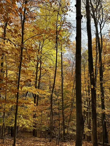 Best Hikes and Trails in Torch River Ridge | AllTrails