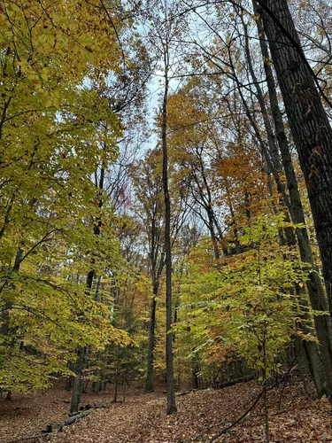 Best Hikes and Trails in Torch River Ridge | AllTrails