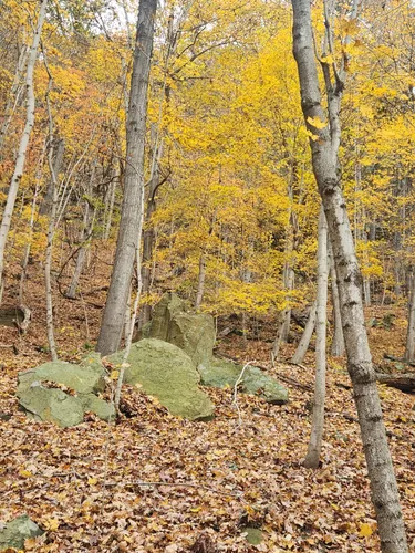 Best Hikes and Trails in Raven Rock State Nature Preserve | AllTrails