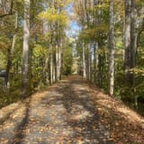 Three Notch Trail, Maryland - 210 Reviews, Map | AllTrails