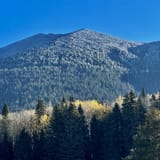 Aspen Nature Loop, Arizona - 2,035 Reviews, Map | AllTrails