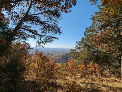 Best Hikes and Trails in Tigerville | AllTrails